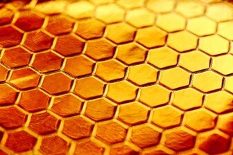Blog - A Guide to Honey Grading Systems and What They Mean for Consumers
